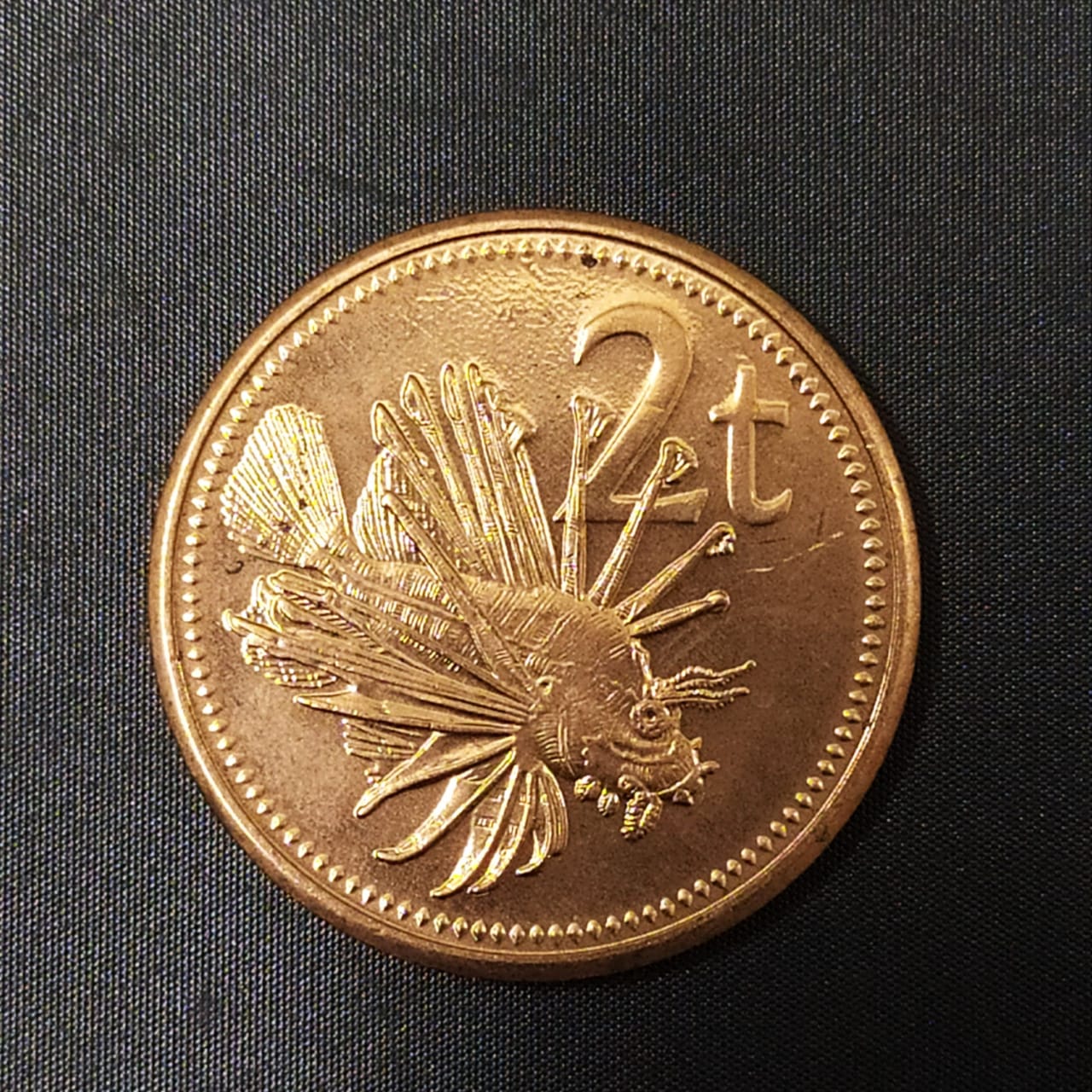 2 Toea UNC- Papua New Guinea – Hobby Corner